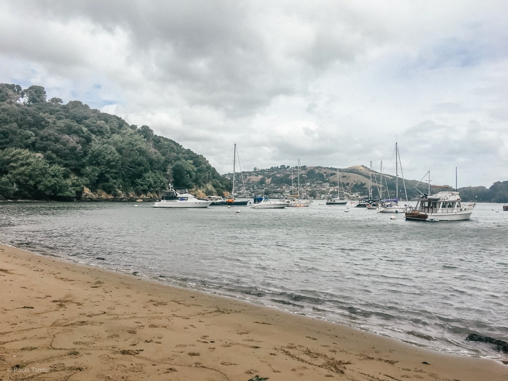 Angel Island State Park Guide for 2026 – Architect at Heart