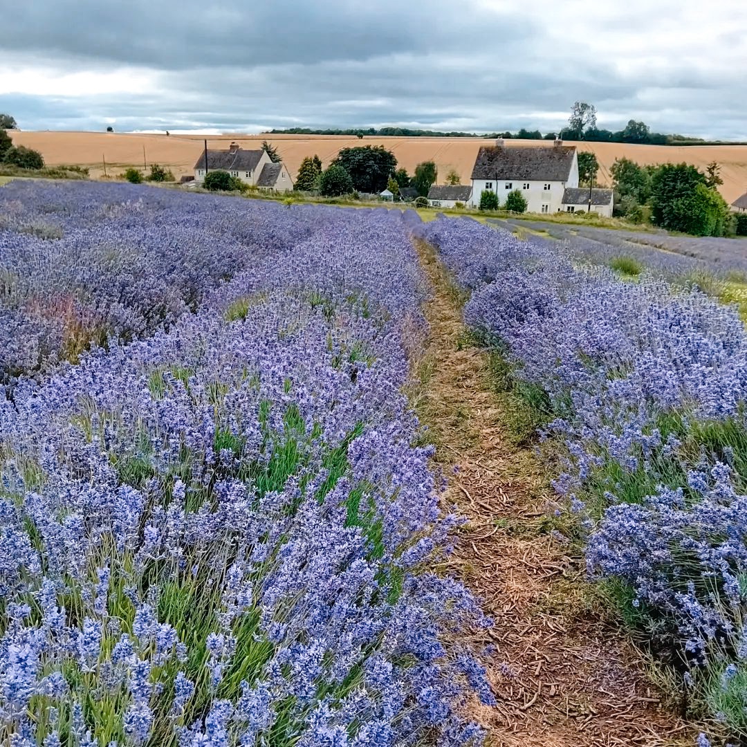 Exploring Snowshill in the Cotswolds: Things to Do, Walks and Travel ...